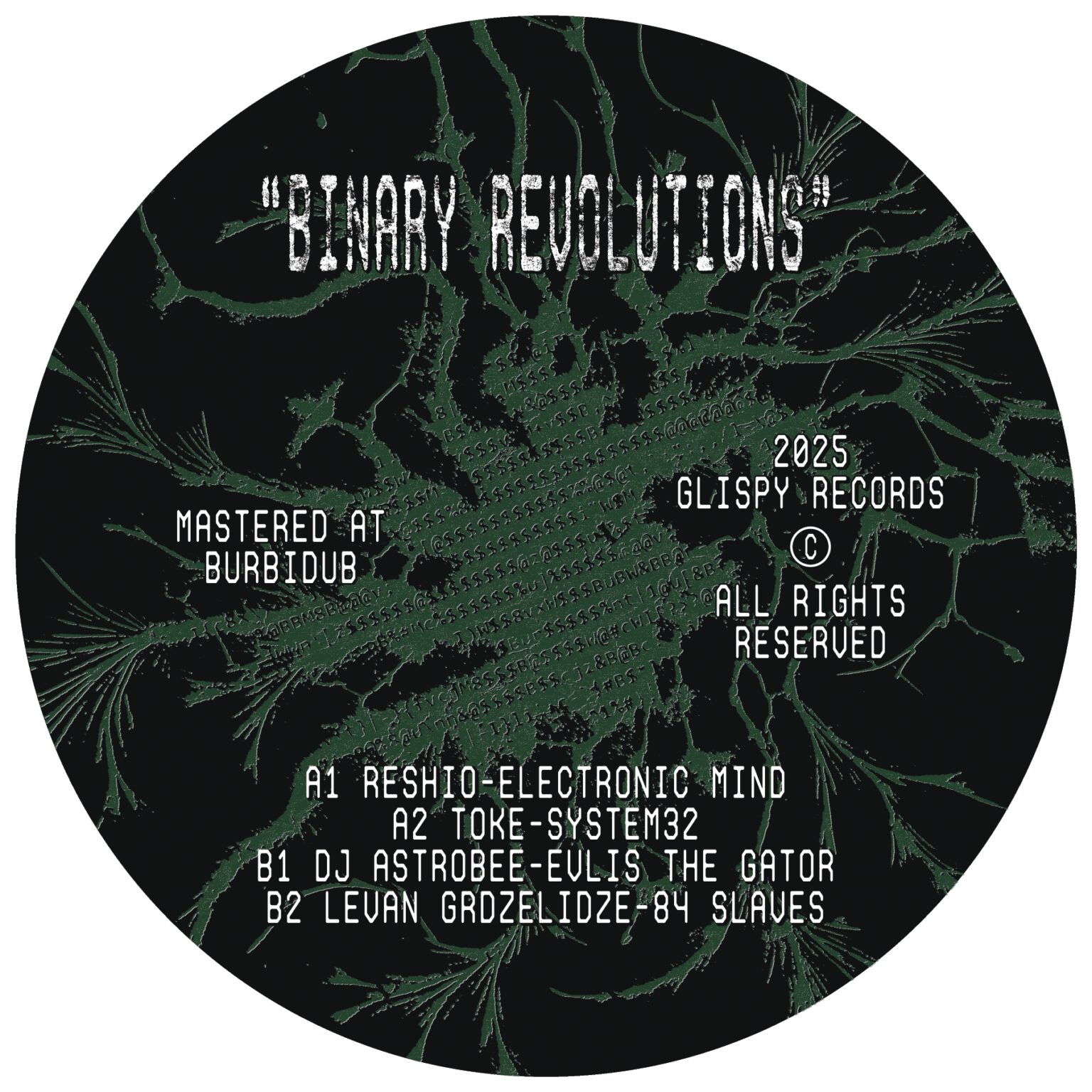 VARIOUS - Binary Revolutions - Ultrasuoni Records